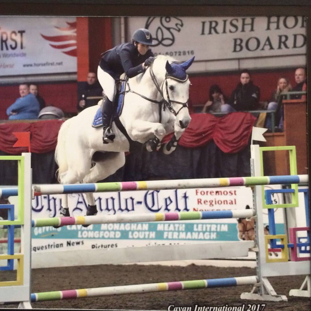 Gallery – Kennedy Equine Centre – KEC Horses