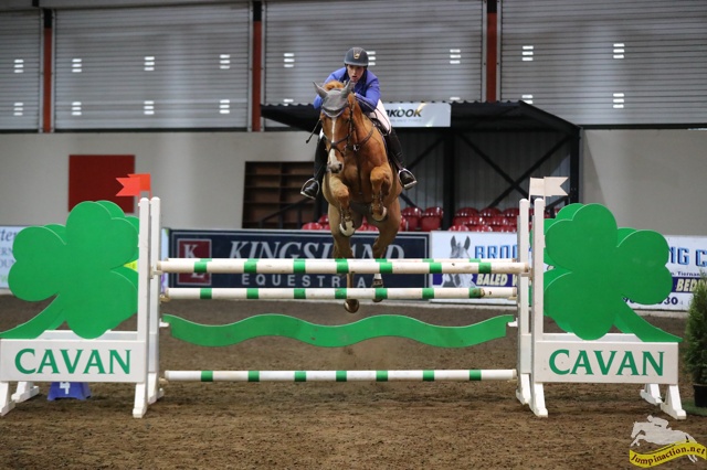 Gallery – Kennedy Equine Centre – KEC Horses