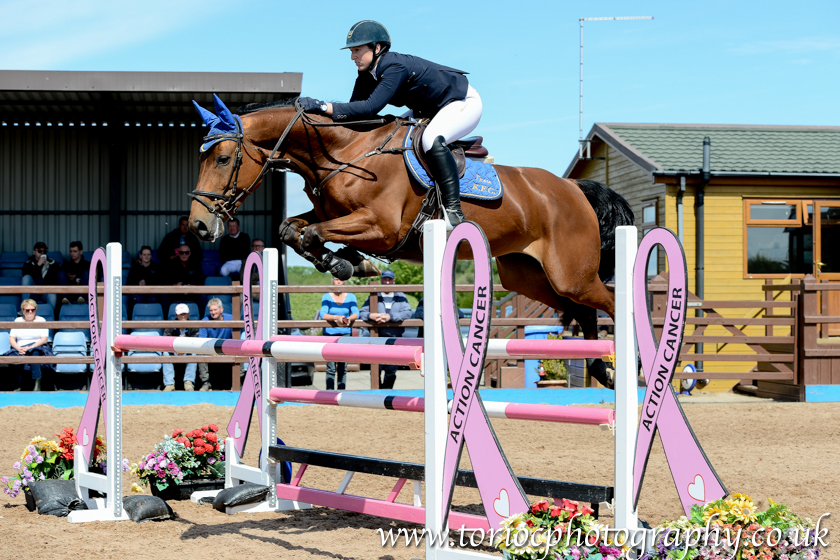 Gallery – Kennedy Equine Centre – KEC Horses