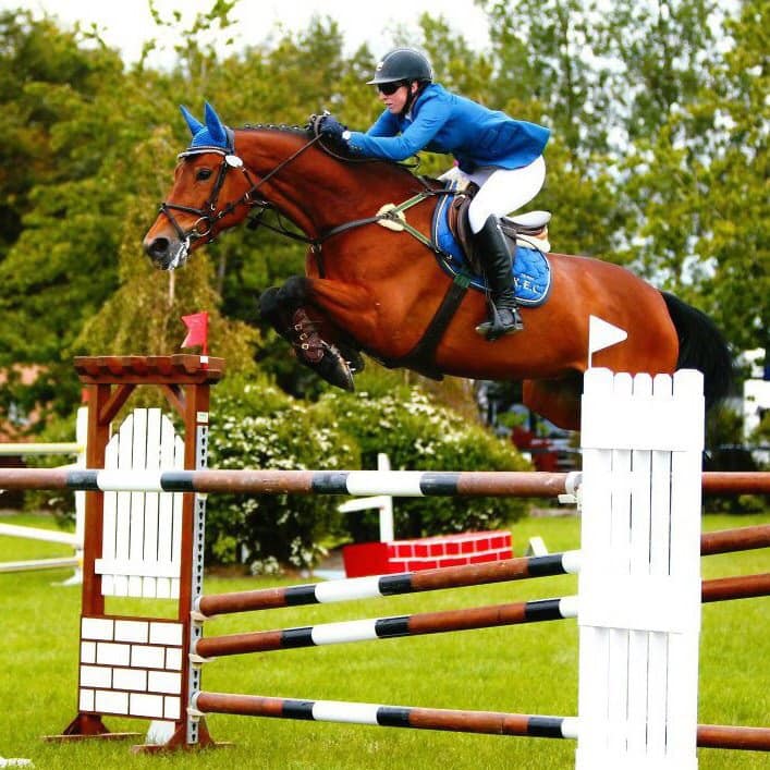 Gallery – Kennedy Equine Centre – KEC Horses