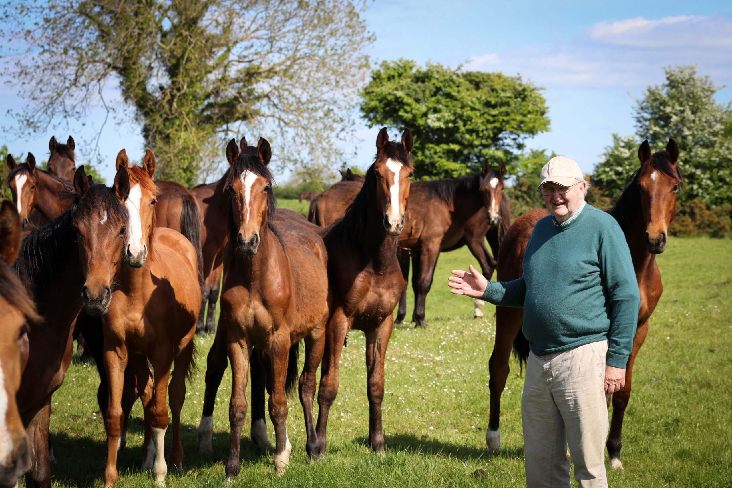 Gallery – Kennedy Equine Centre – KEC Horses